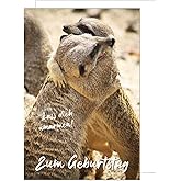 Edition Seidel Premium XXL Maxi Glückwunschkarte zum Geburtstag mit ...