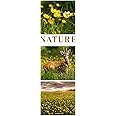 Nature Kalender 2025, Triplet-Wandkalender im Hochformat (33x100 cm ...