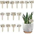 15pcs Plant Markers, Wooden Plant Labels Funny Plant Signs Stake ...