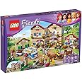 LEGO Friends - 3185 - Jeu de Construction - Le Camp d'équitation : LEGO ...