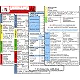 Schemata & Scores in Klinik & Rettungsdienst (2 Karten Set) - SSSS ...