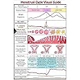 Biopracess Menstrual Knowledges Menstrual Cycle Visual Guide Posters ...