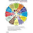 India's Creation Human Body Energy Clock Chart-Meridian Flow Wheel ...
