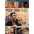 Poor Cow [DVD]: Amazon.co.uk: Carol White, Terence Stamp, Ken Loach ...