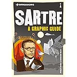 Introducing Continental Philosophy: A Graphic Guide (Graphic Guides) : Kul-Want, Christopher ...