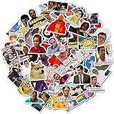 Pack of 61 Funny Meme Vinyl Stickers Pack, Memes Stickers for Laptop ...