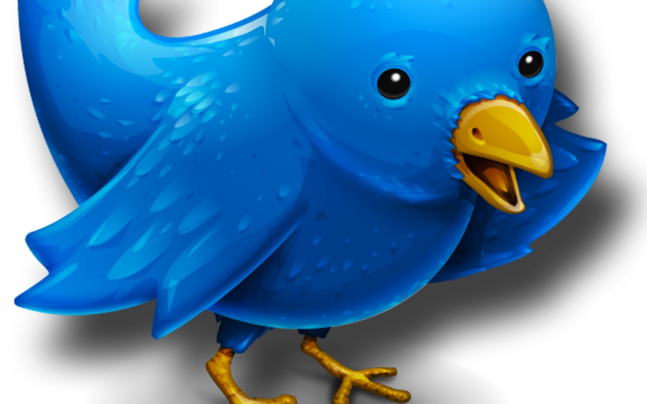 BLUE BIRD MESSENGERS: Amazon.de: Apps für Android