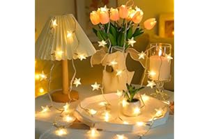 amazon.ae Best Sellers: The best items in Decorative Indoor String ...