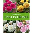 David Austin's English Roses: Amazon.co.uk: David Austin: 9781788840194 ...