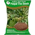 Iagrifarm Peepal Tree Seed - 100 gram/Ficus Religiosa/Arasamarm Tree ...