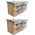 Sparrow Colony Terrace Wooden Nesting Box with Removable Nest Fronts ...