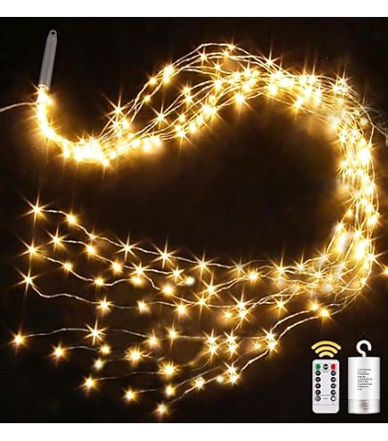 White Battery Operated Rice Lights