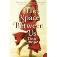 The Space Between Us: A powerful contemporary literary historical ...