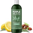 Sulphate Free Hair Shampoo for Greasy Hair - Degrease Deep Cleansing ...