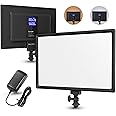 RALENO LED Video Light, 192 LEDS Panel Camera Light with LCD Display ...