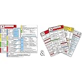 Schemata & Scores in Klinik & Rettungsdienst (2 Karten Set) - SSSS ...
