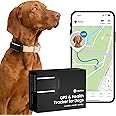 Tractive GPS Dog Tracker | 2025 Edition | Market leader | Real-time ...