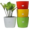 GREENON® 10 Inch Plant Pot Pack of 4 (8 Pots) Self Water | Multi Colour ...