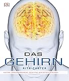 Faszinierendes Gehirn: Eine bebilderte Reise in die Welt der ...