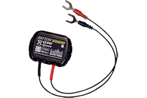 Amazon.de Bestseller: Die beliebtesten Artikel in Starthilfegeräte für ...