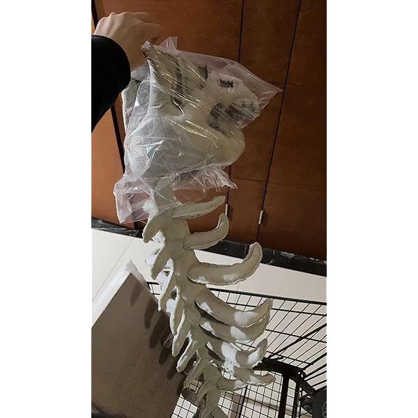 Dinosaur Skeleton Headpiece