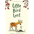 Little Bird Lost (Colour Fiction) by Hegarty, Patricia