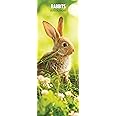 Rabbits 2025 Slim Calendar : Amazon.co.uk: Stationery & Office Supplies