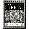 The Miracle of Trees: and how they work (Wooden Books U.K. Series): Amazon.co.uk: Huikari, Olavi ...