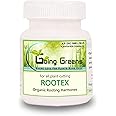 Going Greens Rootex Rooting Hormone Powder for Plants Cuttings (25g ...