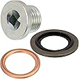 AERZETIX - C70495 - Tapón roscado, cárter de aceite - compatible con ...
