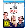 The Big Bang Theory: Staffel 2 : Goetsch, David, Rosenstock, Richard ...