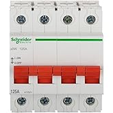 Schneider Polycarbonate Acti 9 100-A 4-Pole MCB Isolator (White), Standard (FE_A9S4P100 ...