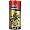 Hp Lubricants Racer Gen6 20W40(Tin Pack-900 Ml) - Motorcycle : Amazon ...
