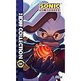 Sonic the Hedgehog: The IDW Collection, Vol. 5: Amazon.co.uk: Flynn ...