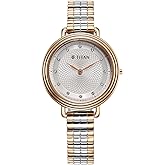 Titan Raga Showstopper Quartz Analog Silver Dial Two Toned Silver ...