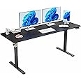ERGOMAKER Electric Height Adjustable Desk 170 x 60 cm - Height ...