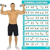Vive Stretching Exercise Poster - Stretch Workout for Rehab, Gym, Home ...