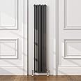 ELEGANT Traditional Radiator Anthracite Double Vertical Cast Iron Grey ...