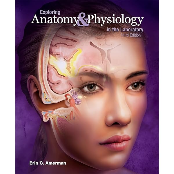 Vesna Balac's Instagram, Twitter & Facebook on IDCrawl