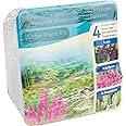 Moerings Waterplants Pond Planting Complete Kit – Fragrant Plants (Iris, Lythrum, and Pontederia ...