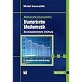 Numerische Mathematik: Eine beispielorientierte Einführung ...