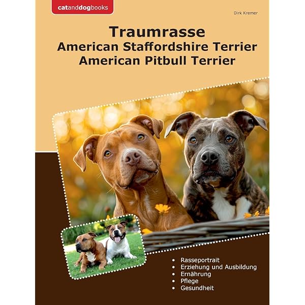 Kampf Bullterrier Gegen Pitbull Gefährliche Hunde, Kampf