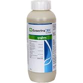 Syngenta Zevictra 1L | Anti Termite Chemical for Pre & Post ...