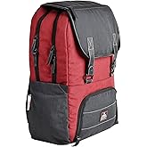 Buy SWISS MILITARY Helium 21L Laptop Backpack Fits 15.6" Laptop USB ...