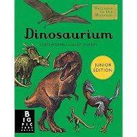 Dinosaurium (Junior Edition) : Murray, Lily, Wormell, Chris: Amazon.co ...