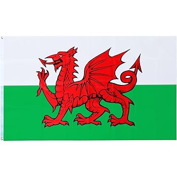 Wales Welsh Dragon 3'x2' Flag: Amazon.co.uk: Garden & Outdoors