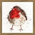 Bothy Threads Jolly Robin Counted Cross Stitch Kit 26x26cm XHD5 ...