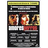 Amores Perros Edición Coleccionista Blu.Ray [Blu-ray]: Amazon.es: Emilio Echevarría, Gael García ...
