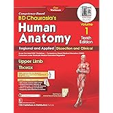 Buy Bd Chaurasias Human Anatomy - 10Ed Vol 2 Regional And Applied Dissection And Clinical Lower ...