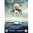 Sully: Miracle On The Hudson [DVD] [2016] [2017]: Amazon.co.uk: Tom ...